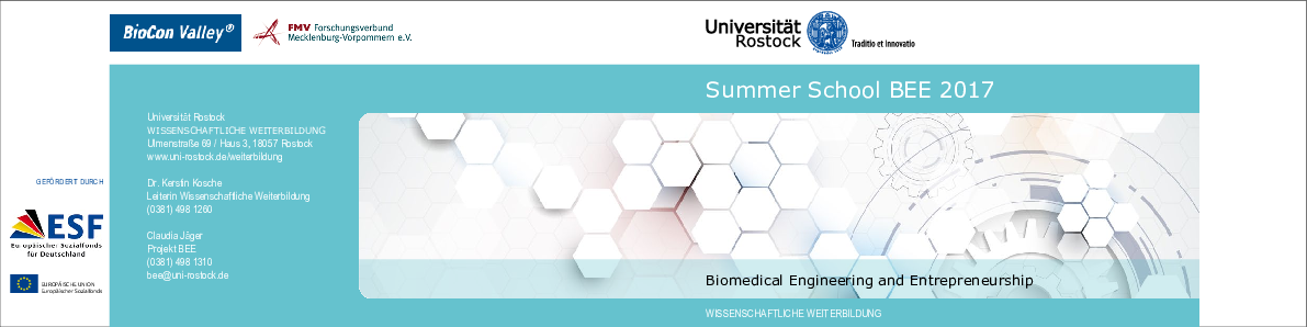 BEE Summer School 2017 »Biomedical Engineering and Entrepreneurship ...